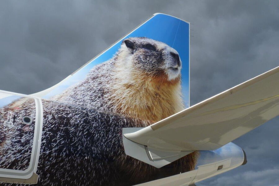 Home - GOAL Aircraft Leasing